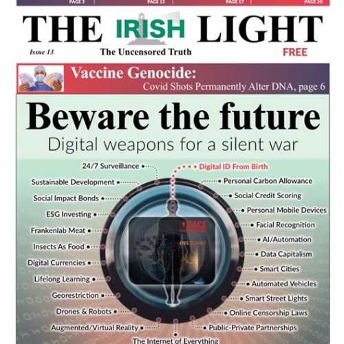 Issues - Irish Light Paper